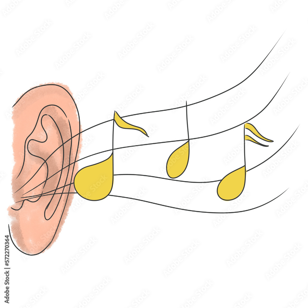 hand drawing illustration of an ear listening to musical notes ...