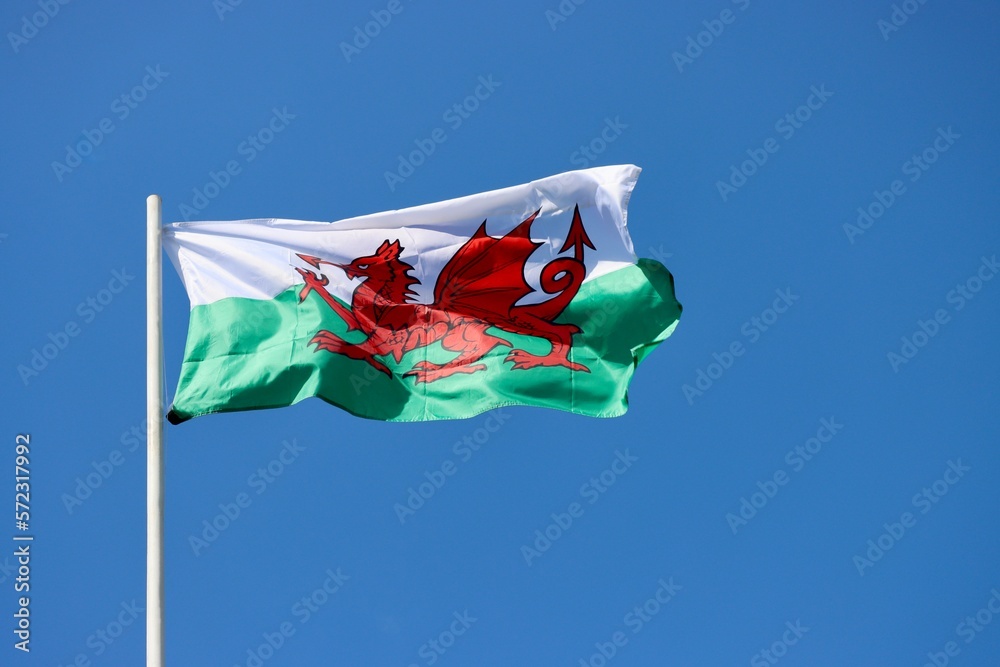 Wales flag - red dragon passant on white and green - bold and proud ...