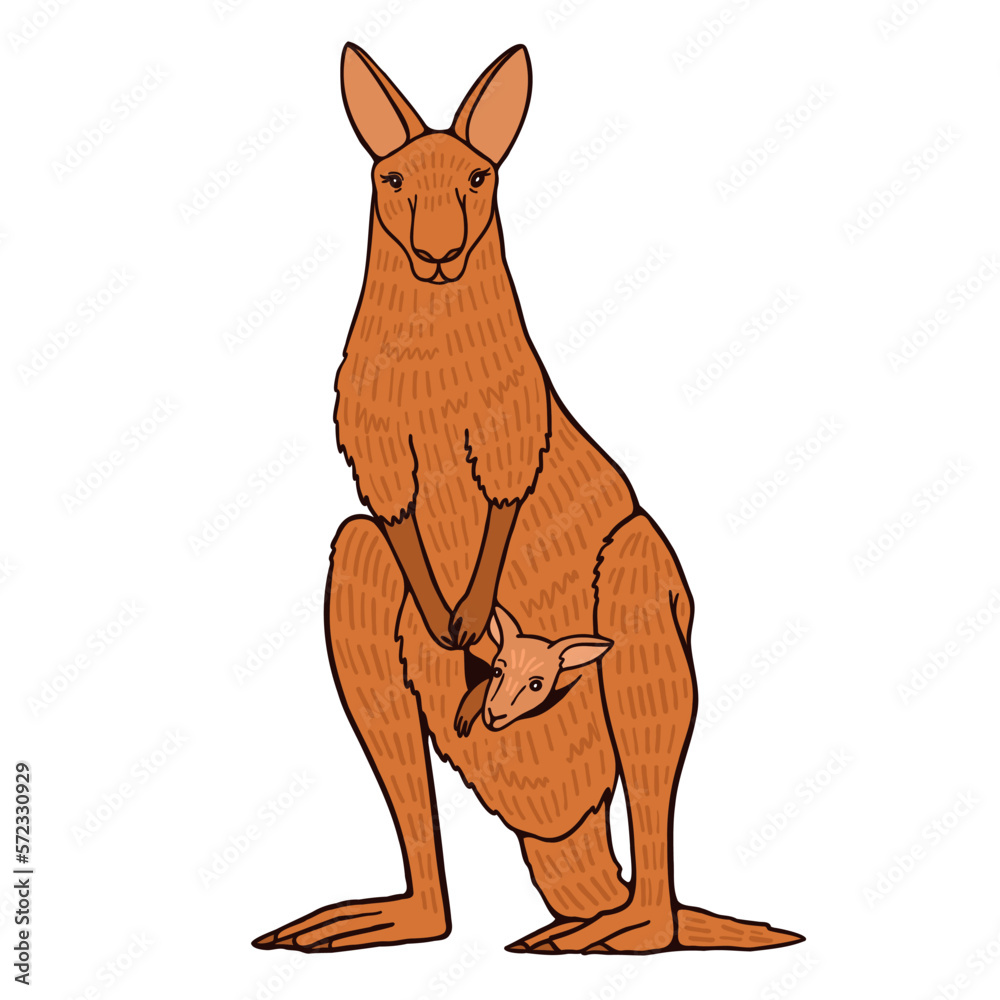 Cartoon kangaroo with baby in bag on white background Stock Vector ...