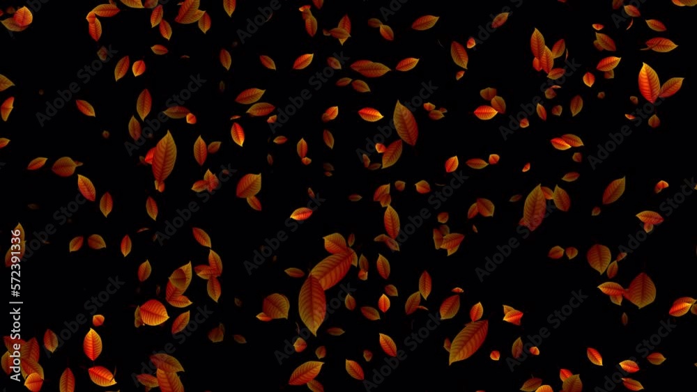 Autumn leaves falling animation in 4K Ultra HD, Loop animation with ...