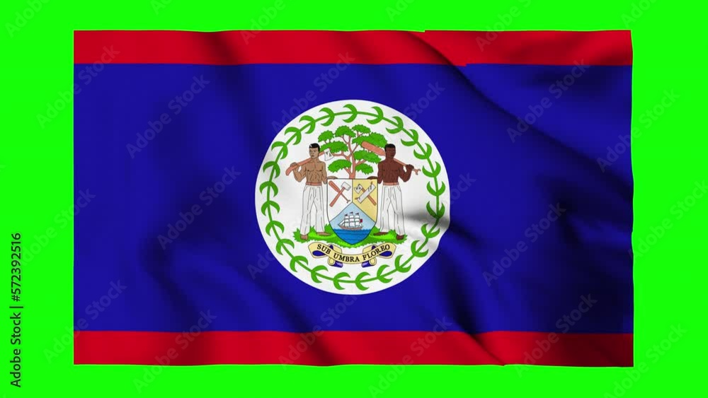 Flag of Belize waving isolated by the alpha channel(transparent ...