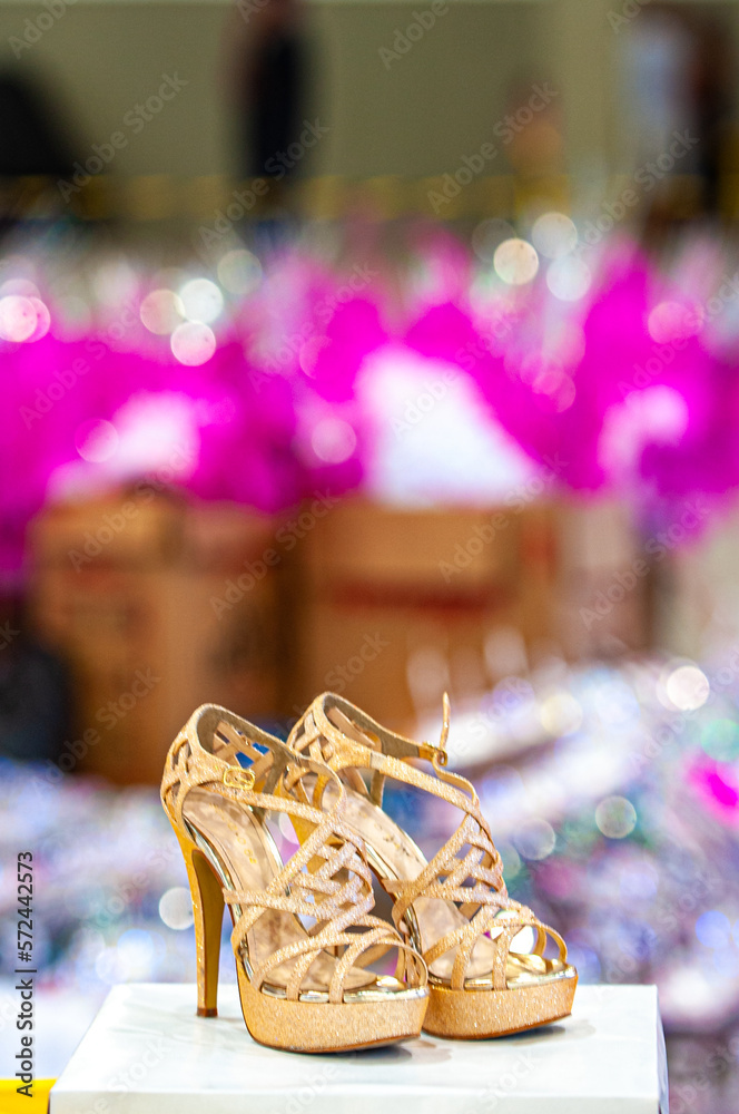 Carnival in Brazil, on Passarela do Samba, the biggest popular party in ...