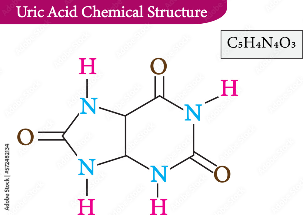 Uric Acid Chemical Structure,vector image Stock Vector | Adobe Stock