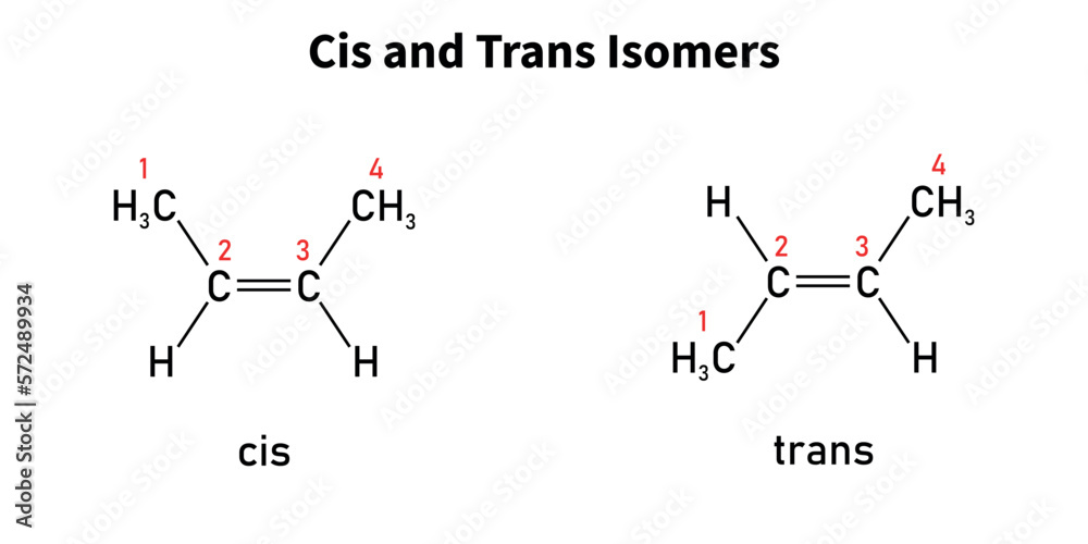Cis And Trans Isomers Cis But 2 Ene And Trans But 2 Ene Vector
