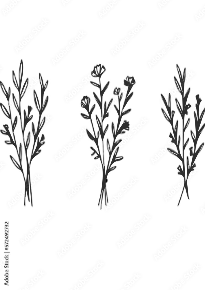 ramos diseños grafico vector imagen draw tattoo Stock Vector | Adobe Stock