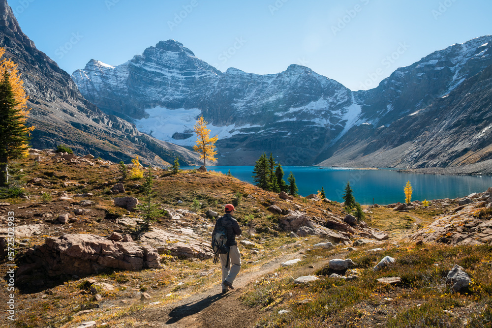 Hiking Lake O'Hara to Lake McArthur Trail in autumn. Yoho National Park ...