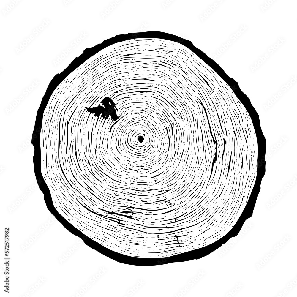 Log cut, vector illustration. Tree rings pattern, shades of gray. Stock ...