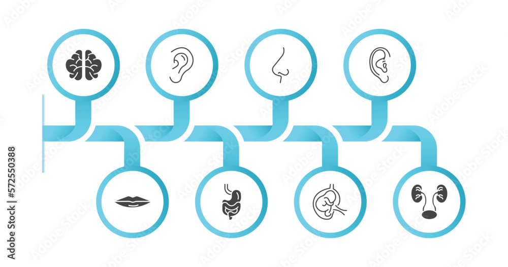 editable filled icons with infographic template. infographic for human ...