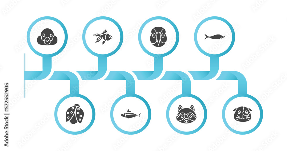 editable filled icons with infographic template. infographic for ...