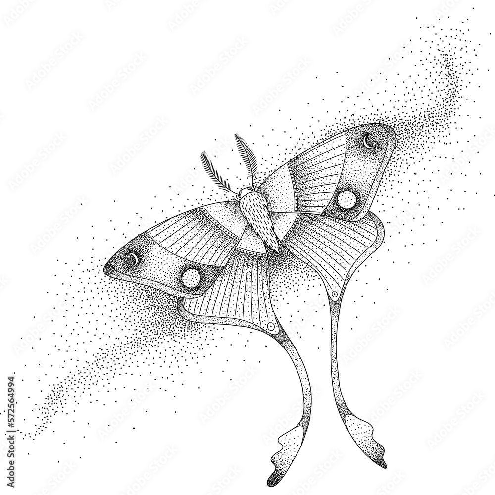 mystical illustration of a butterfly or moth. mysterious night in a ...