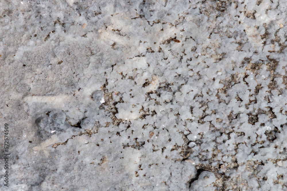 Foto Stock Primer plano de sal cristalizada en la costa. Cristal de sal ...