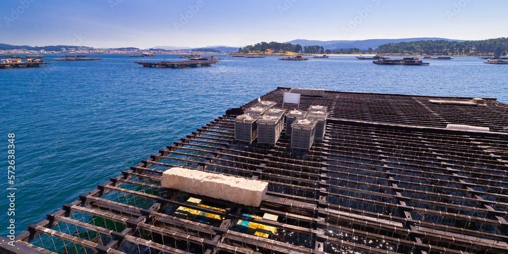 Mussel Aquaculture Rafts Batea, Mussel Growing Sea Platform, Batea ...