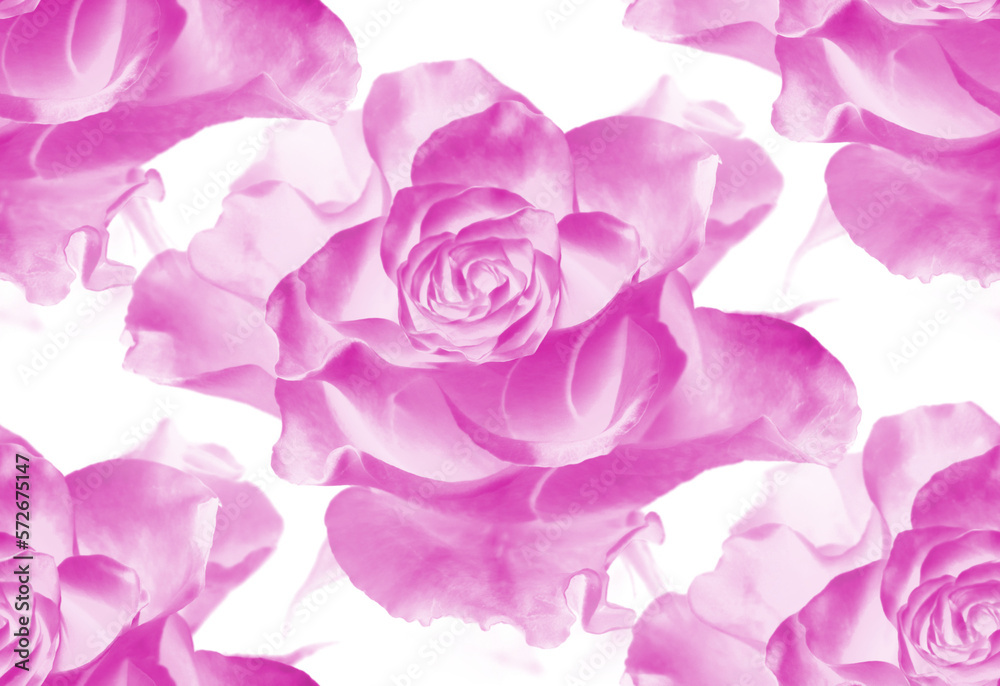 Pink roses pattern. Watercolor on paper texture. Seamless background ...