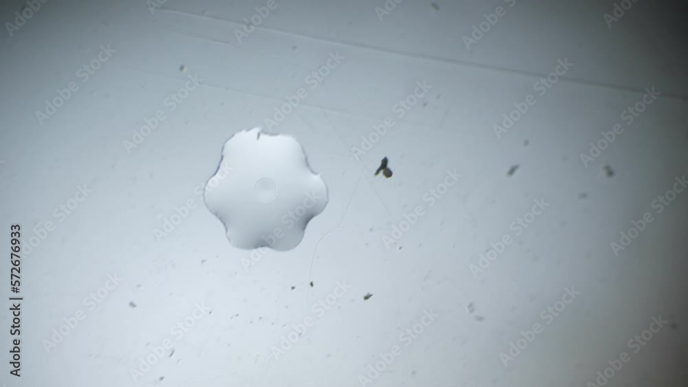 A drop of water transforms into a natural-shaped Snowflake. The ...