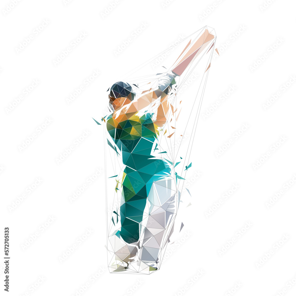 Cricket player, isolated low polygonal vector illustration, cricketer ...