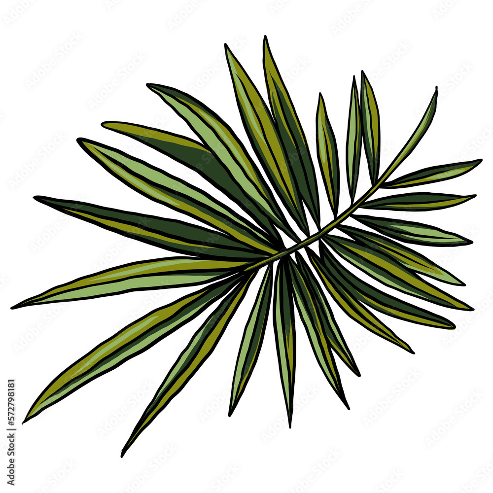 drawing isolated palm leaf, background for textile, trendy texture ...