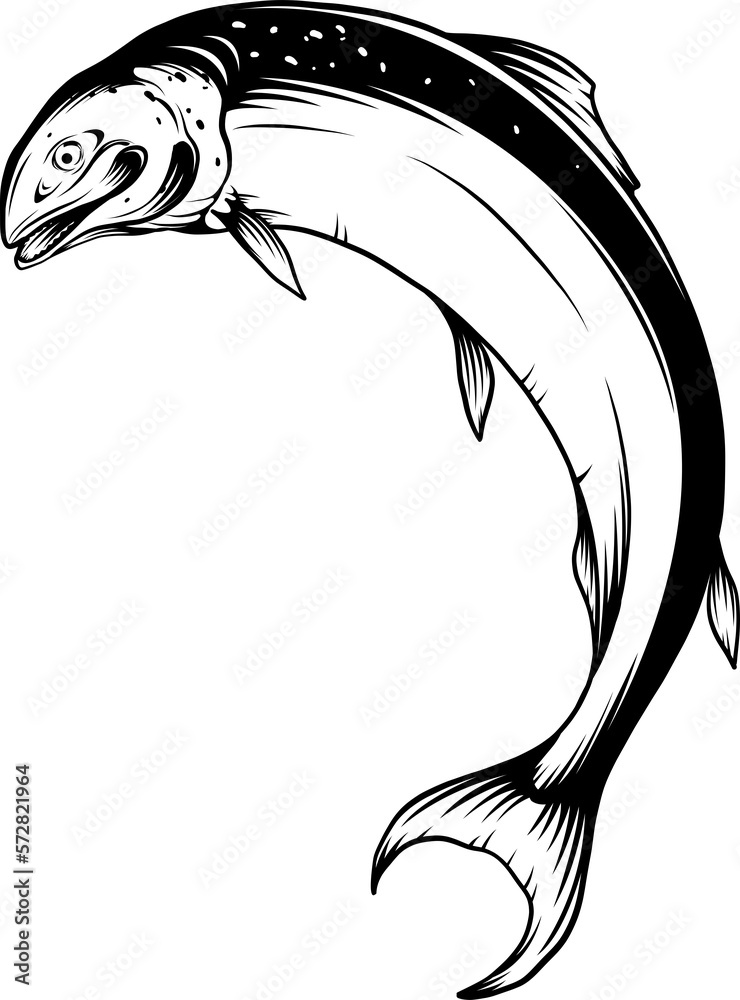 Salmon art highly detailed in line art style.Fish png by hand drawing ...
