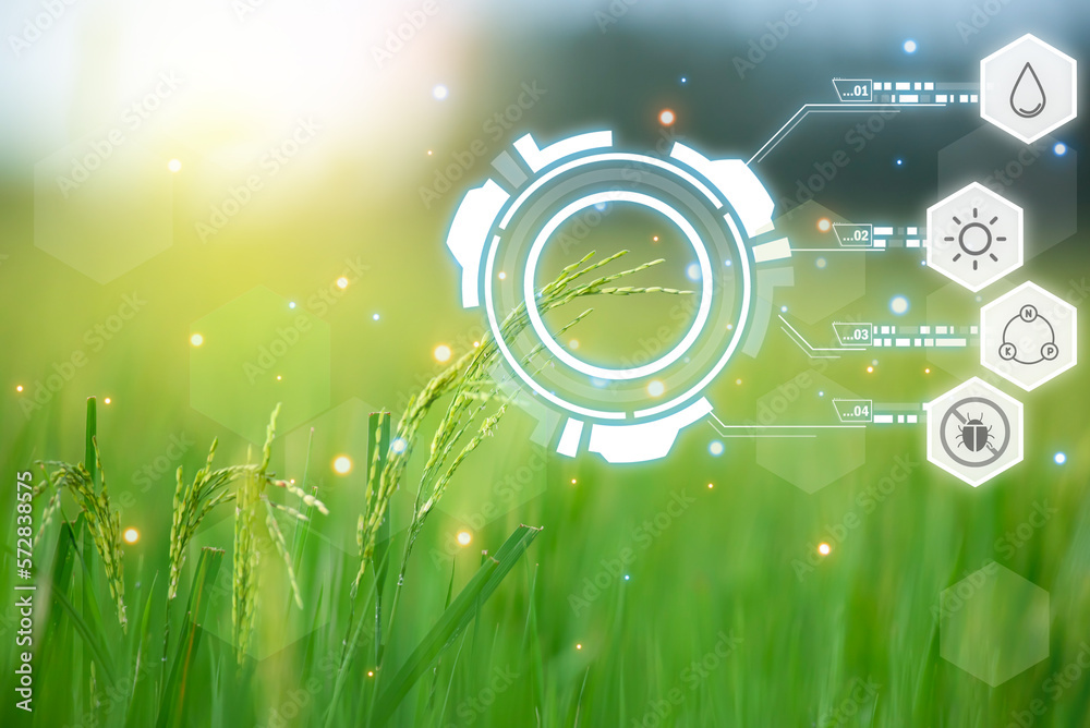 Smart farm digital icon and futuristic AI data infographic of Landscape ...