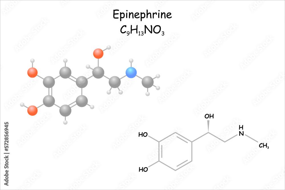 Stylized molecule model/structural formula of epinephrine. Stock Vector ...