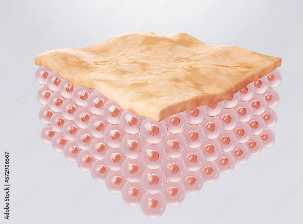 saggy skin or dry skin layer, human skin cells, 3d rendering. Stock ...