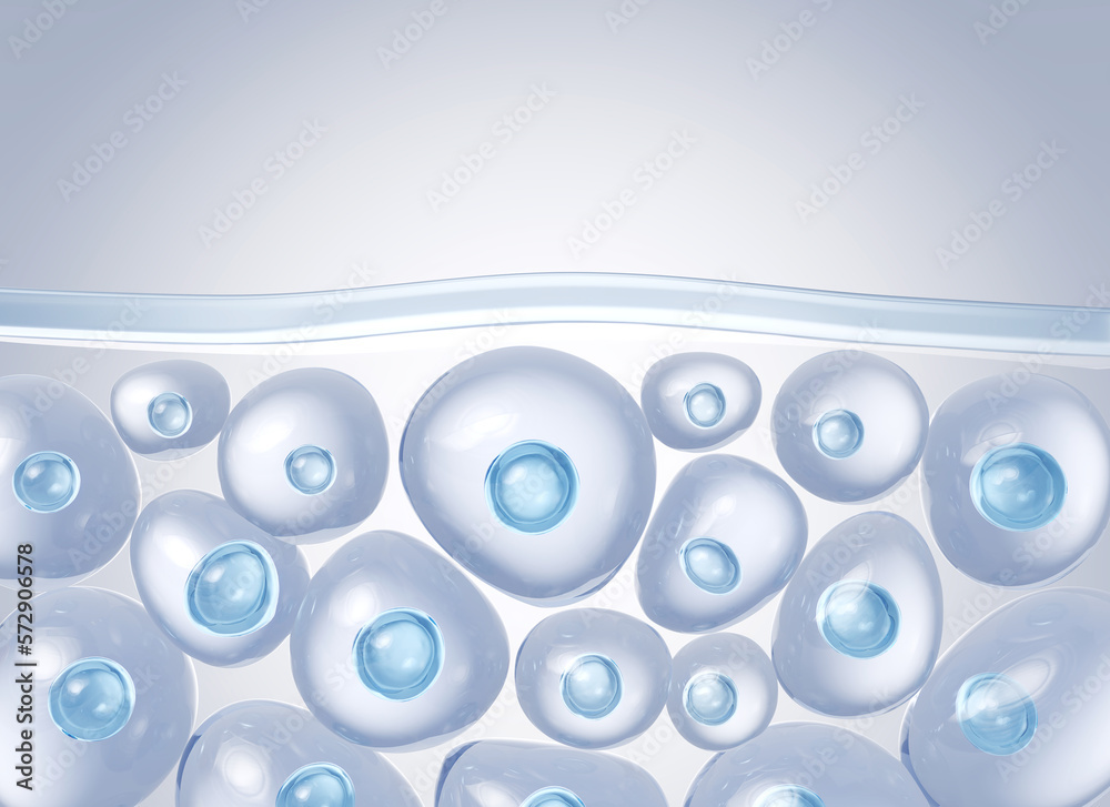 saggy skin or dry skin layer, human skin cells, 3d rendering. Stock ...