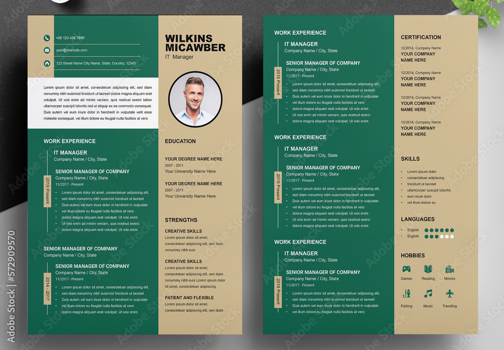 Tech Company Resume Design Layout Template Stock Template | Adobe Stock