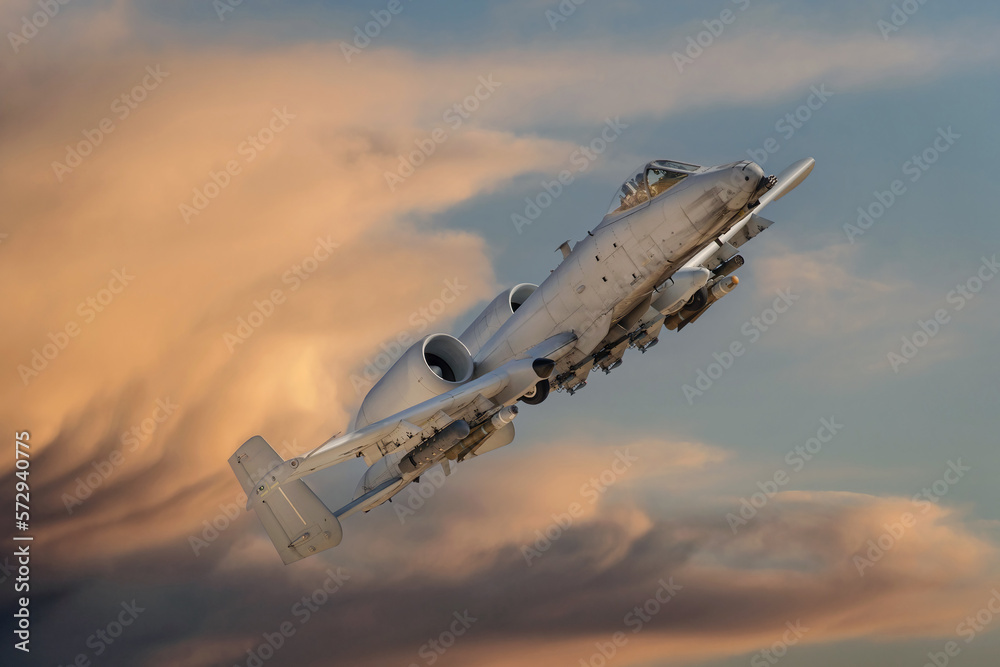 A-10 Thunderbolt II Armed combat Air Support jet with missiles and ...