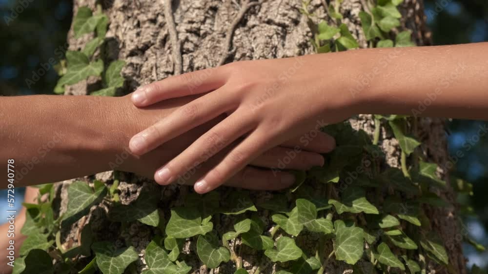 Loving tree trunk with parents hands. A family hands hugging the oak ...
