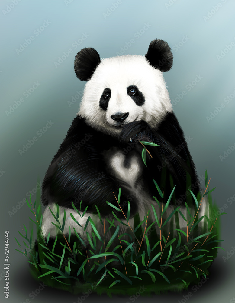Realistic digital painting of the panda (Ailuropoda melanoleuca ...
