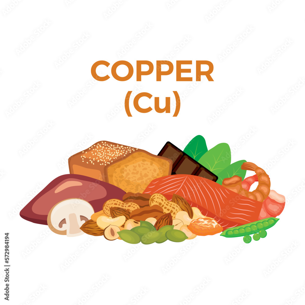 Copper (Cu) in food icon vector. Copper food sources vector ...