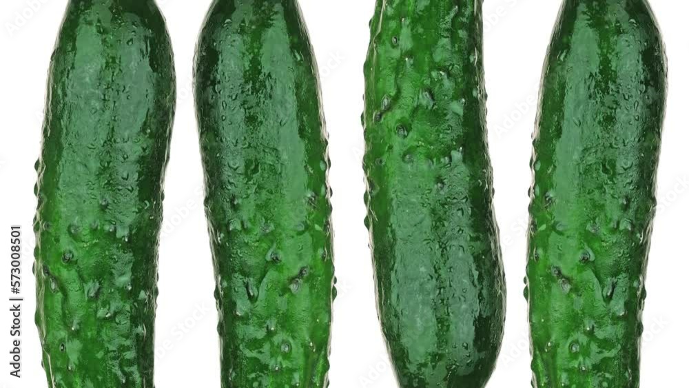 Line of large delicious fresh juicy green cucumber fruits with small ...