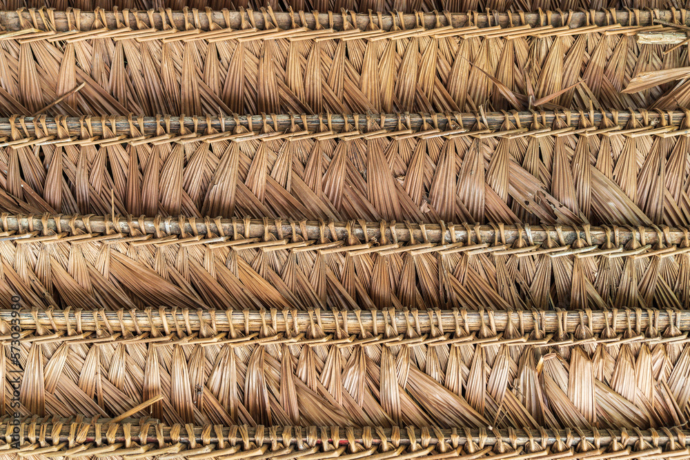 Thatched roof woven structures of indigenous people in the Amazon ...