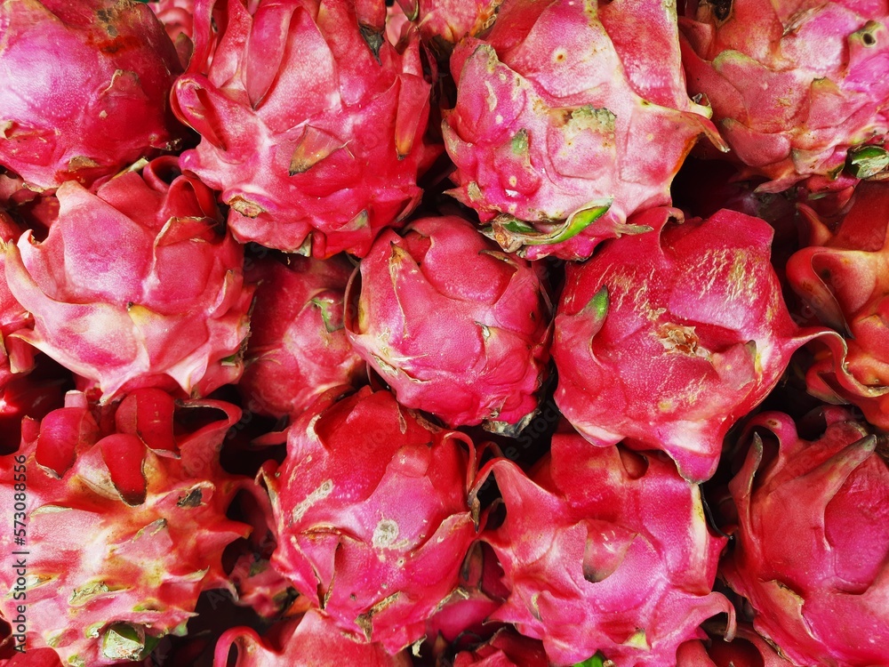 Dragon fruit (buah naga), pitaya, the fruit of cactus. A superfruit ...
