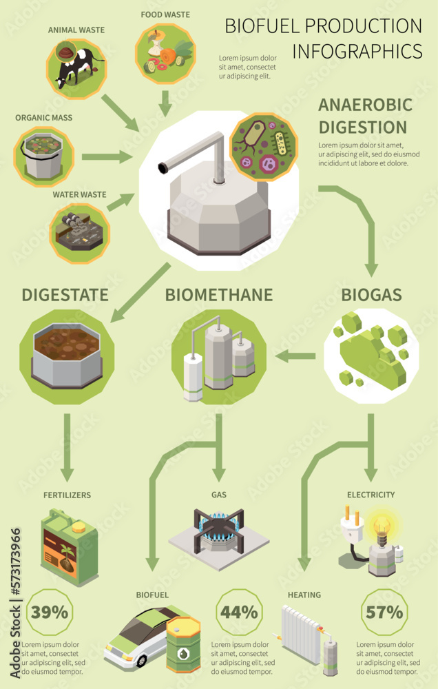 Biofuel Production Infographics Stock Vector | Adobe Stock