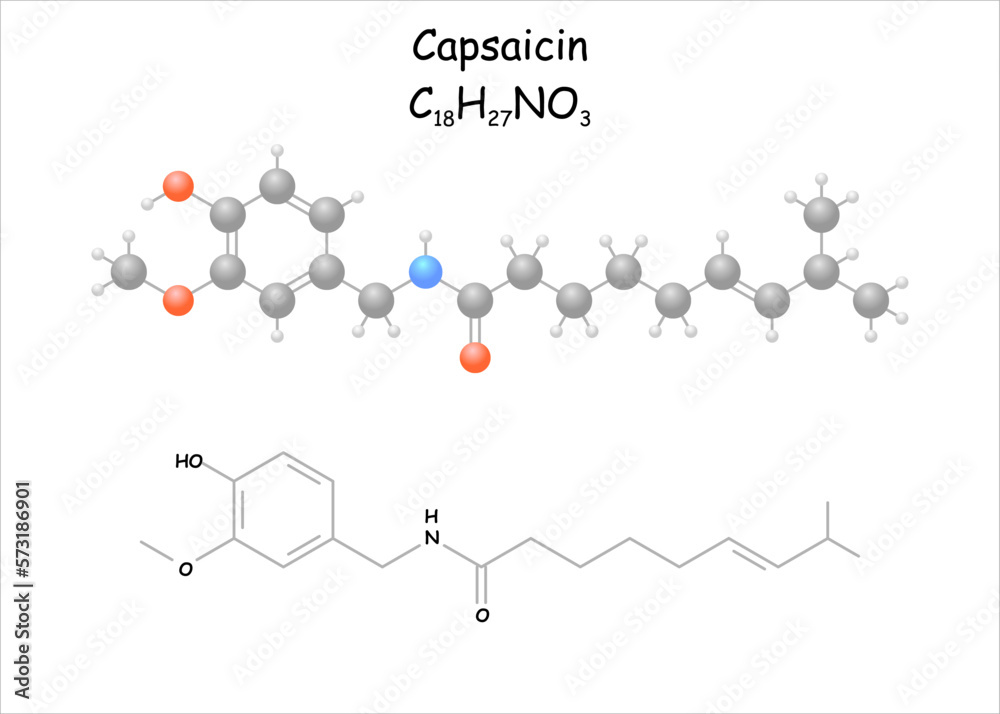 Stylized molecule model/structural formula of capsaicin. Stock Vector ...