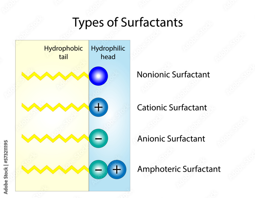 Types of Surfactants, compounds that lower the surface tension between ... Types of Surfactants, compounds that lower the surface tension between ...