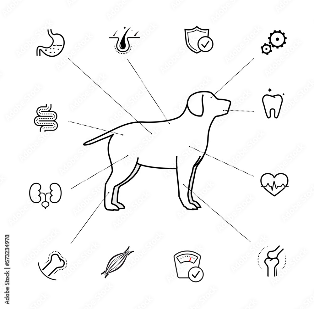 Vitality icon set for dog. The outline icons are well scalable and ...