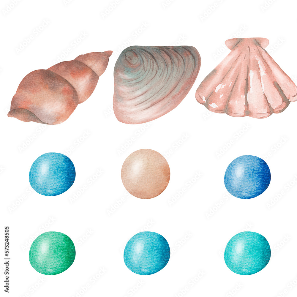 Set with watercolor illustrations of vintage seashells isolated on ...