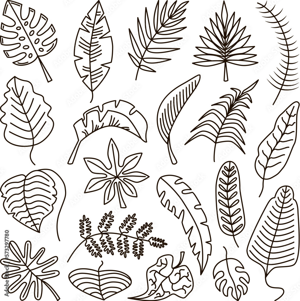Doodle tropical outline leaves, leaf exotic line contour isolated set ...