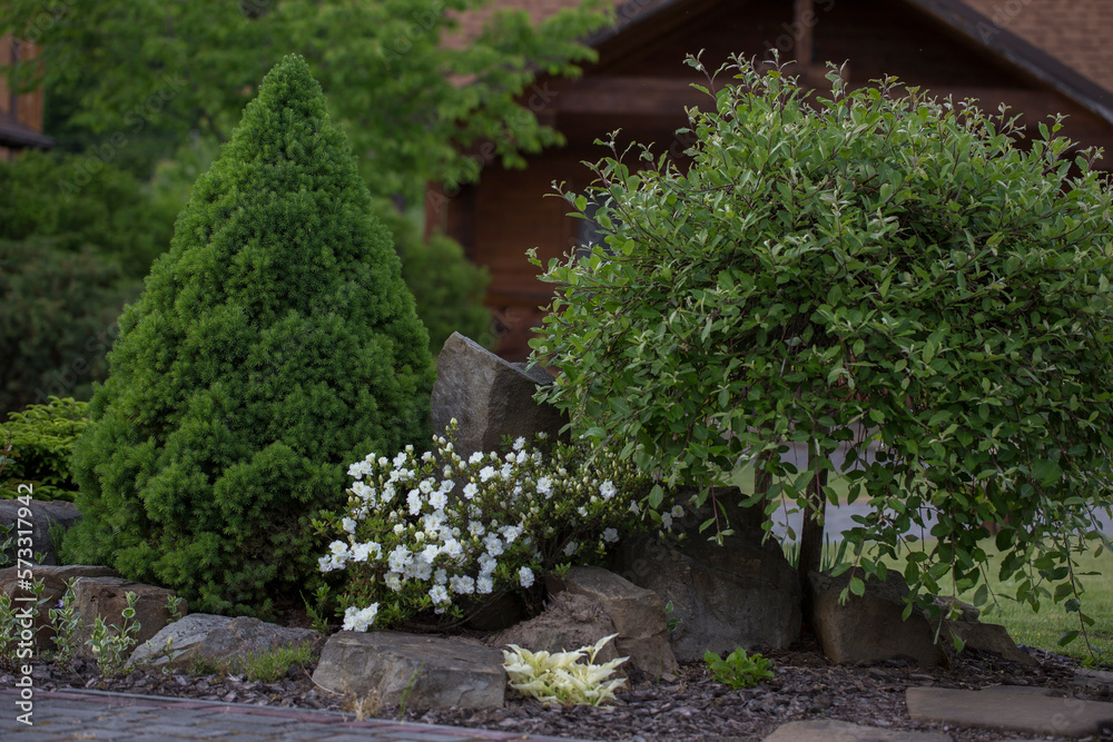 Foto de A unique modern garden of conifers and blooming rhododendrons ...
