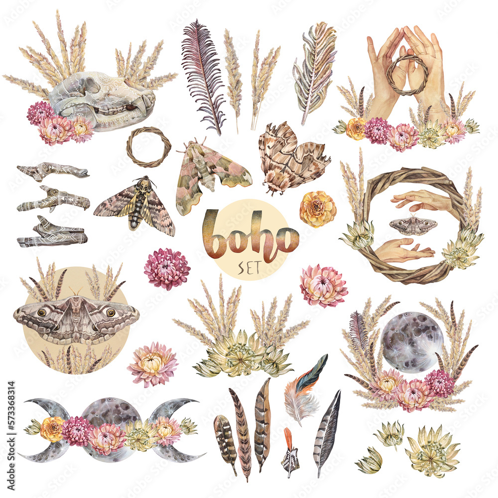 Watercolor boho set with dry flower and moth, moon and fern . Clipart ...