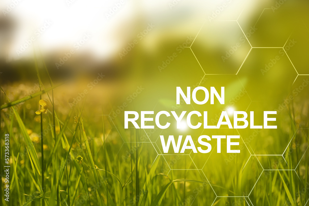 Clean plants on field and bright sunlight to the good ecological future ...