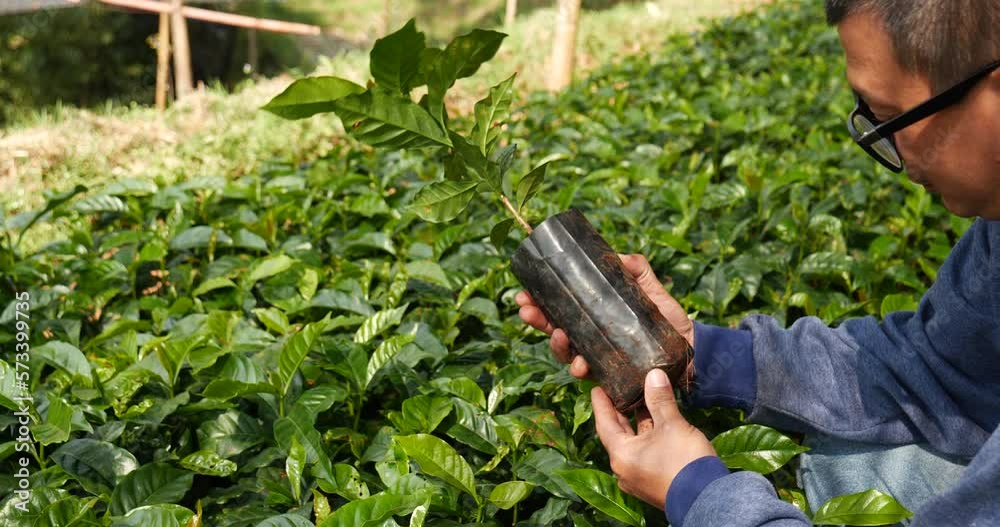 Vidéo Stock Smart farmer checking plant in eco green farm sustainable ...