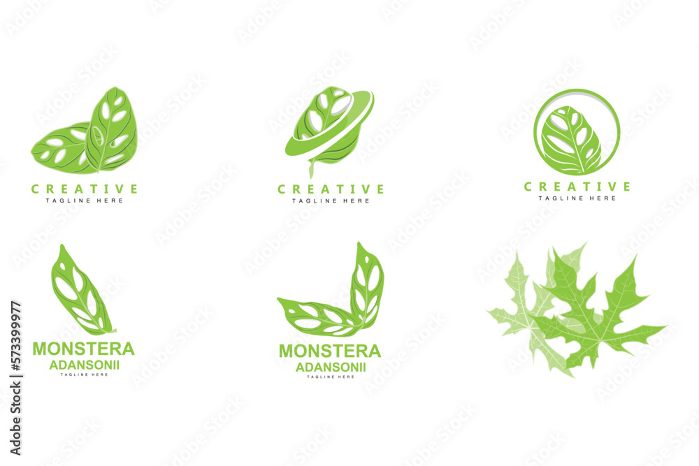 Monstera adansonii Leaf Logo, Green Plant Vector, Tree Vector, Rare ...