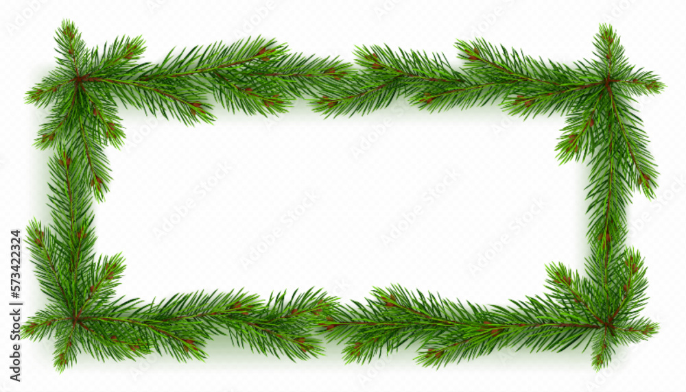 Realistic rectangular pine tree frame in vector. Isolated fir border on ...