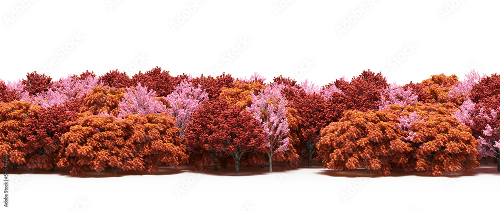 forest line with shadows under the trees, isolated on transparent ...