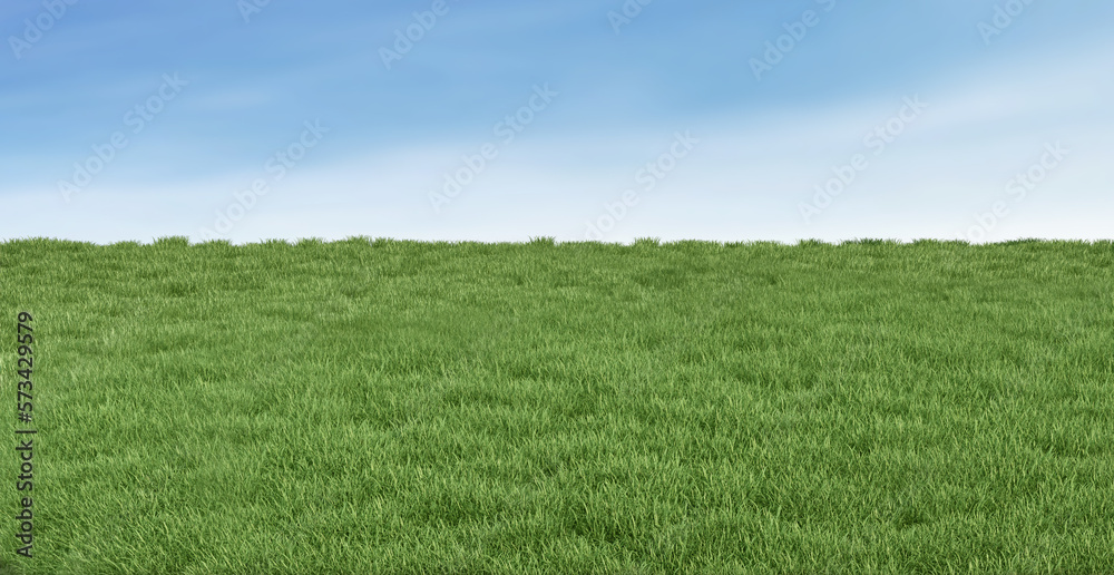 green grass field isolated on Transparent background PNG Stock Photo ...