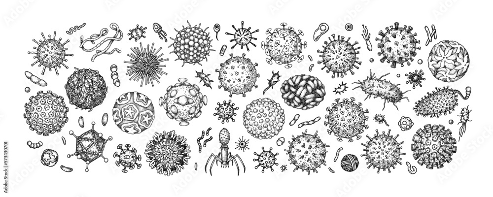 Engraved viruses and bacteria isolated on white background. Different ...