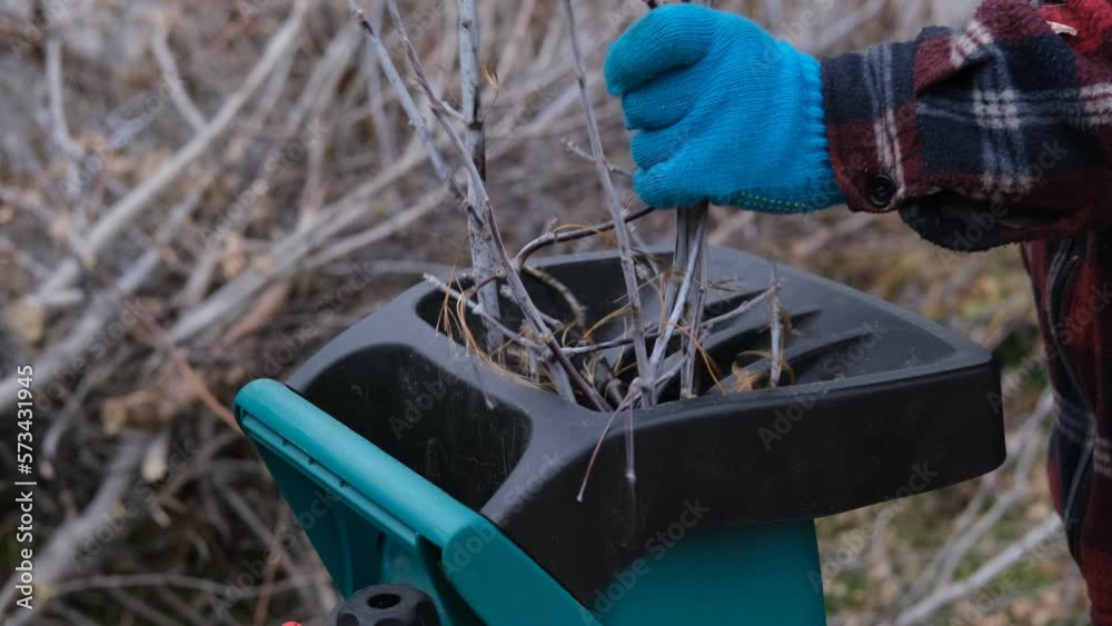 Hands put branches into garden shredder, close up. Man throws branches ...