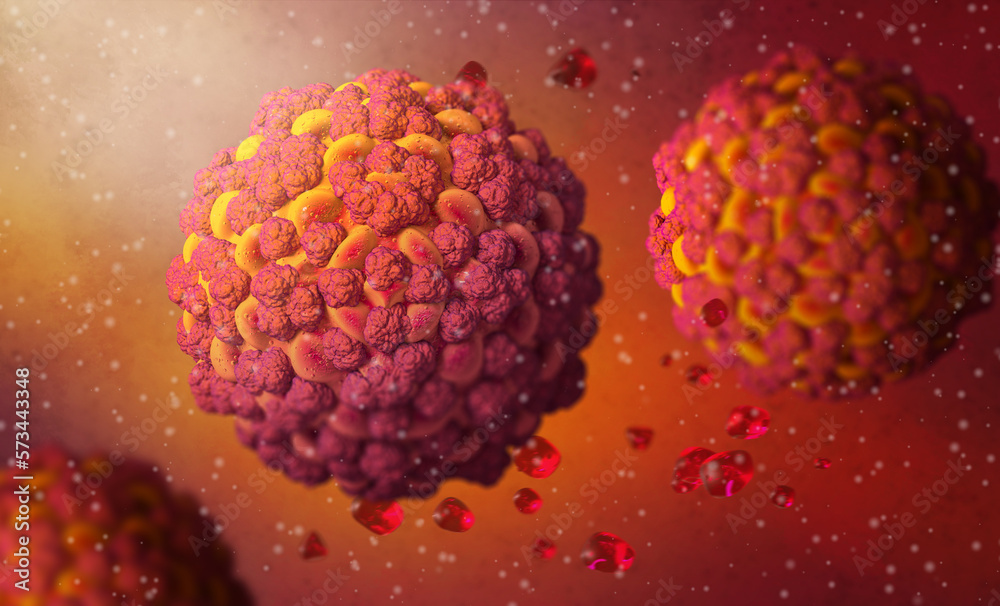 Medical background, Hepatovirus A, HAV, a type of virus from the genus of hepatoviruses, the ...